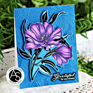 New Card Making Videos 5 Ways to use BetterPress Plates - Sandi MacIver ...