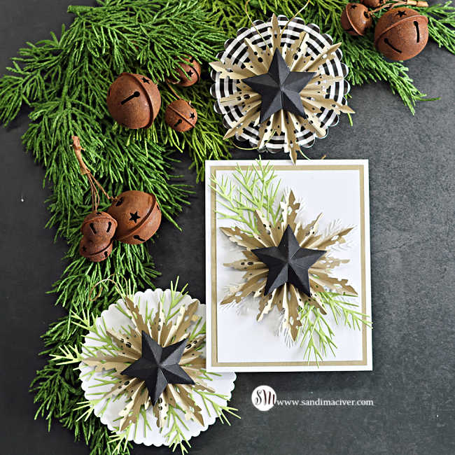 Tim Holtz Snowflake Rosette - Sandi MacIver - Card making and paper ...